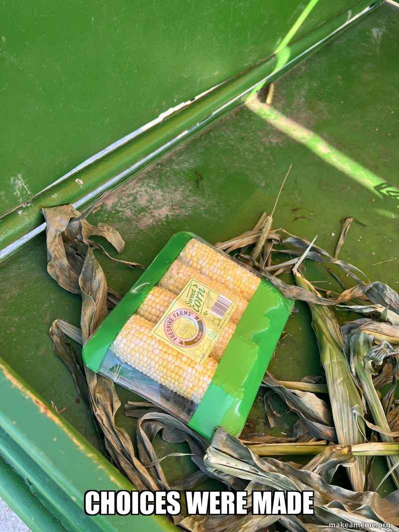 choices were made Meme Generator