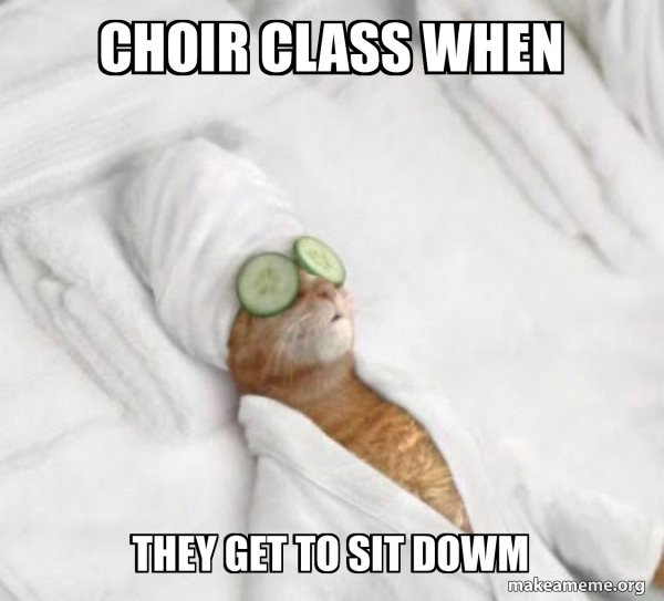 Choir class when They get to sit dowm - Pampered Cat Meme Meme Generator