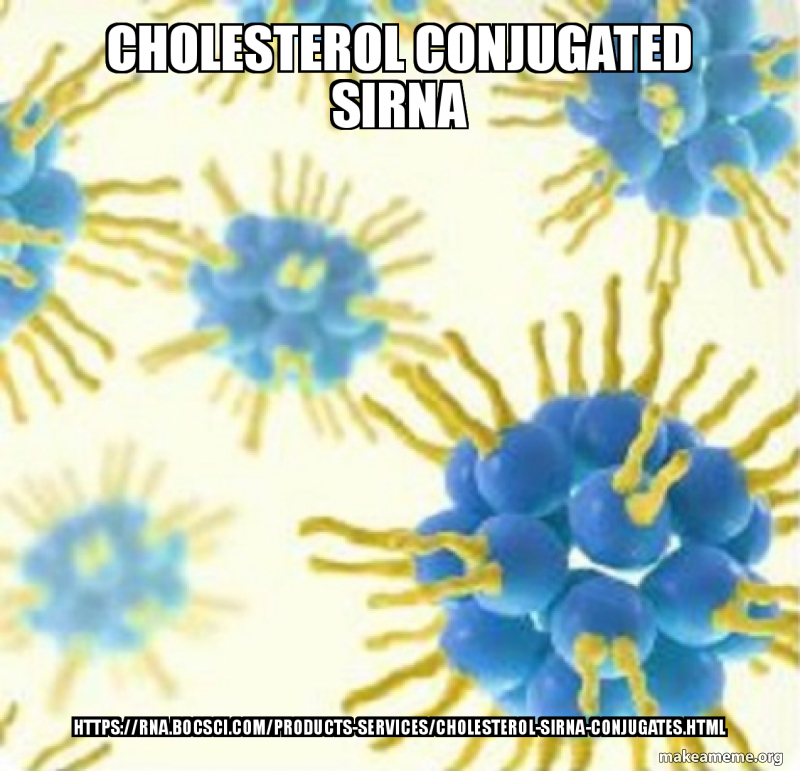cholesterol conjugated sirna https://rna.bocsci.com/products-services ...