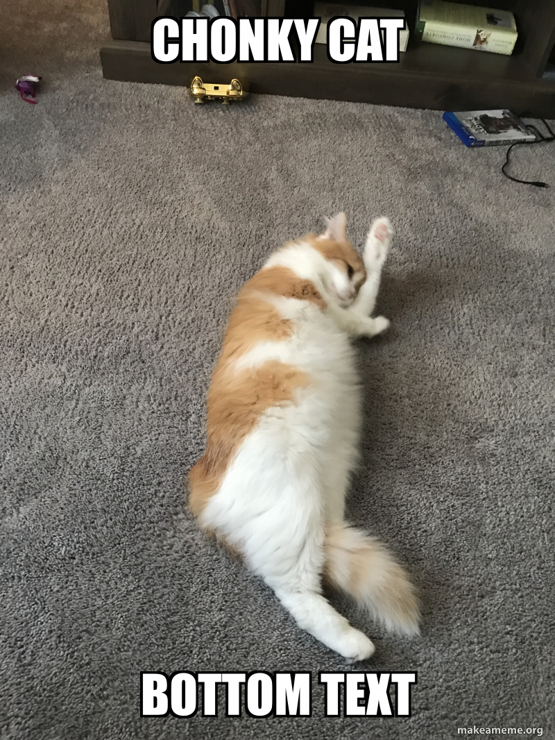 ChoNky cat Bottom text Meme Generator