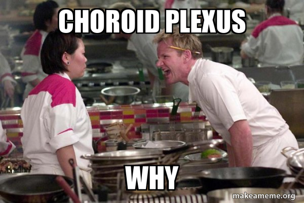 Plexus Memes