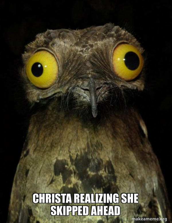 Christa realizing she skipped ahead - Weird Stuff I do Potoo Meme Generator