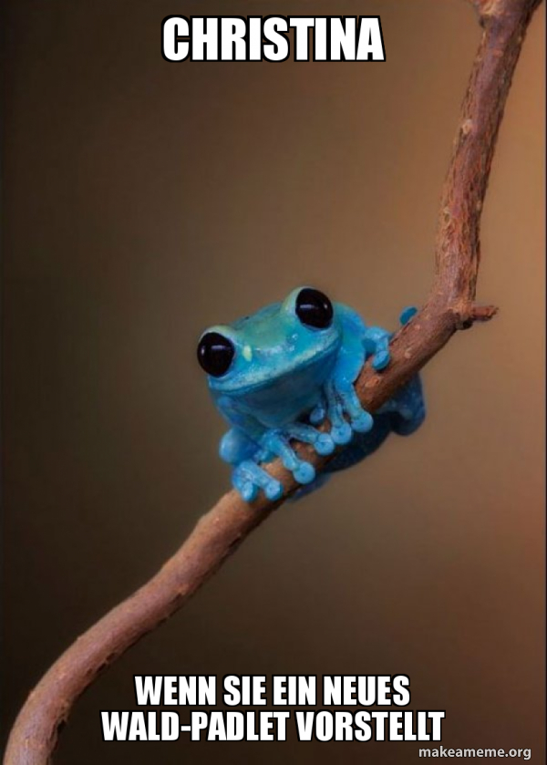 Christina Wenn sie ein neues Wald-padlet vorstellt - Small Fact Frog ...