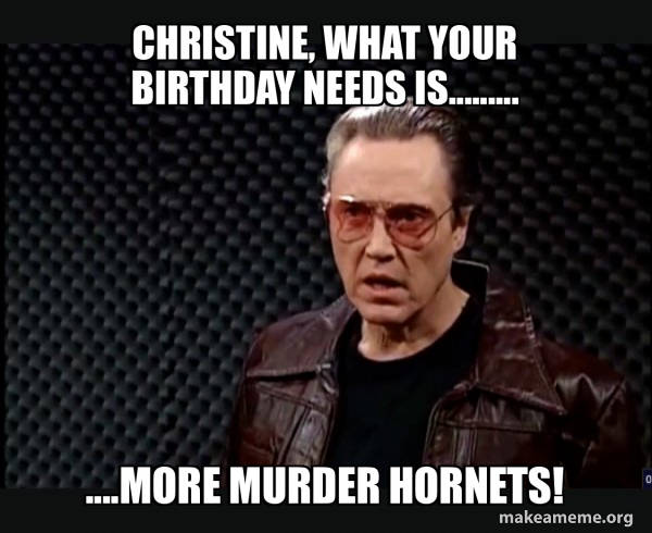 Christine, what your birthday needs is......... ....more murder hornets ...