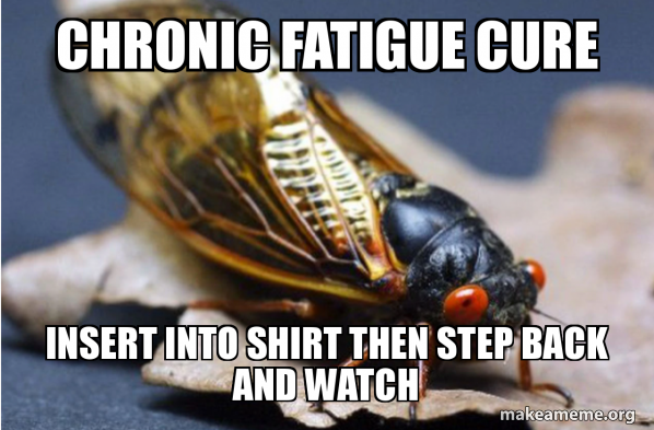 chronic fatigue cure insert into shirt then step back and watch ...