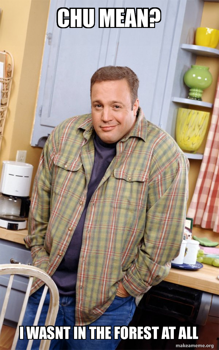 chu mean? i wasnt in the forest at all - Kevin James Meme Generator