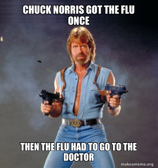 CHUCK NORRIS GOT THE FLU ONCE Then the flu had to go to the doctor ...