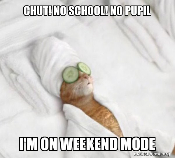 Chut! No School! No pupil I'm on weekend mode - Pampered Cat Meme Meme Generator