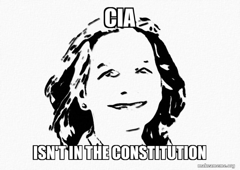 CIA ISN'T IN THE CONSTITUTION Meme Generator