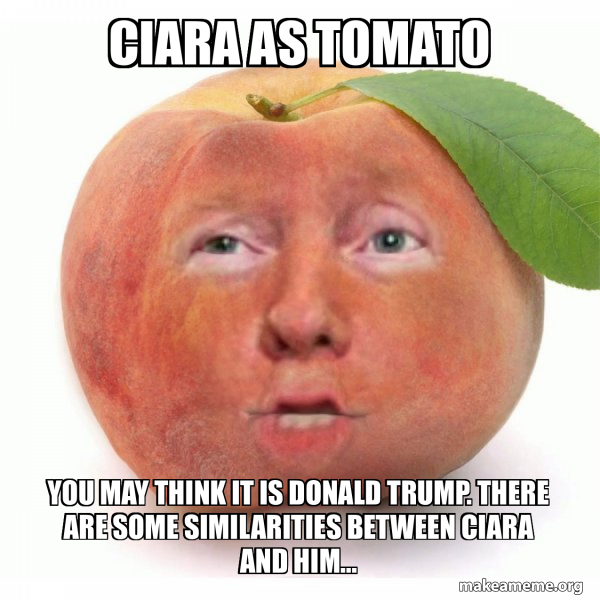 Ciara as tomato You may think it is Donald Trump. There are some ...