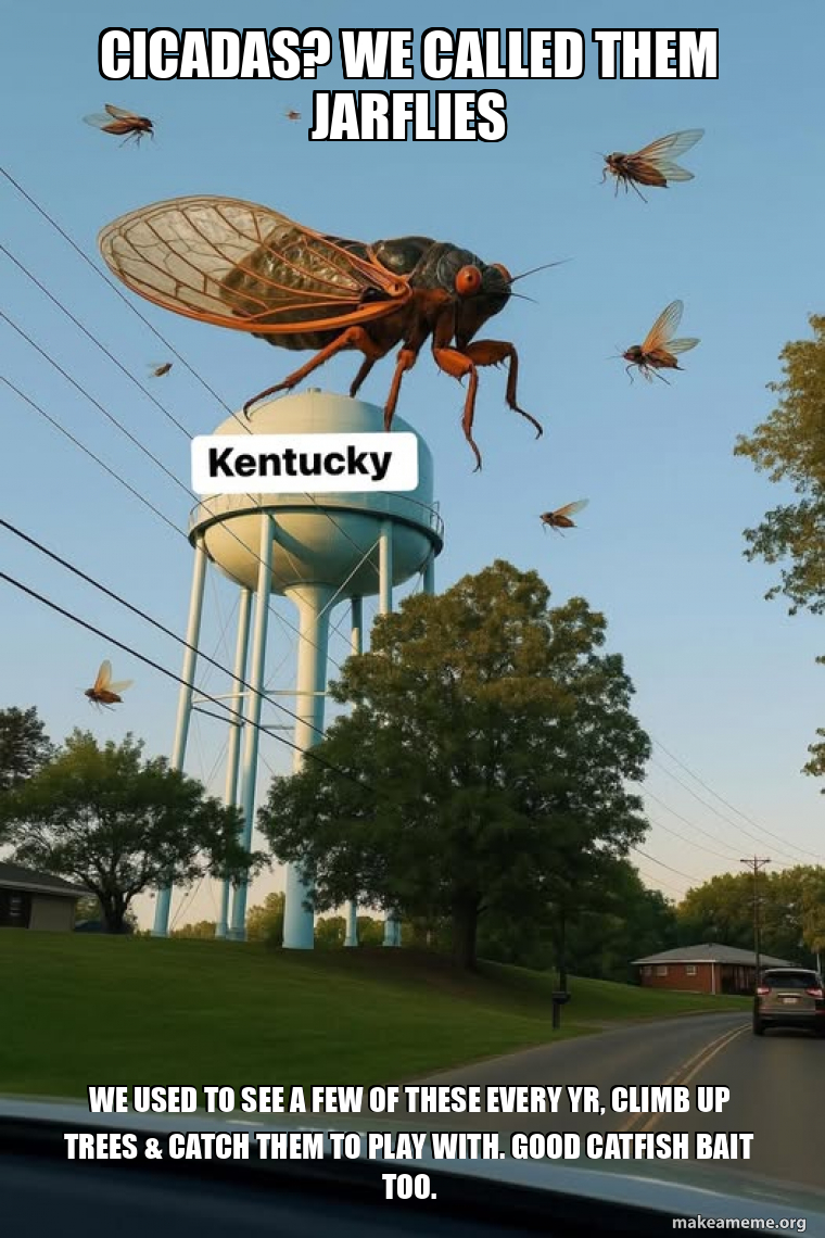 cicadas? we called them jarflies we used to see a few of these every yr ...