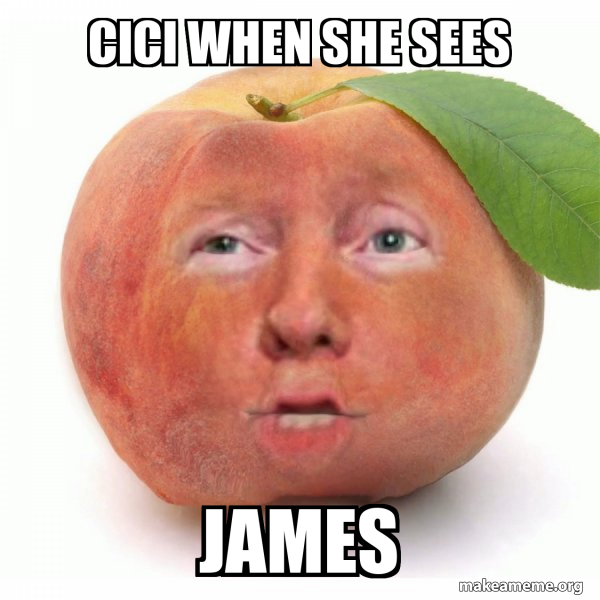 Cici when she sees James - Impeached Donald Trump Meme Generator