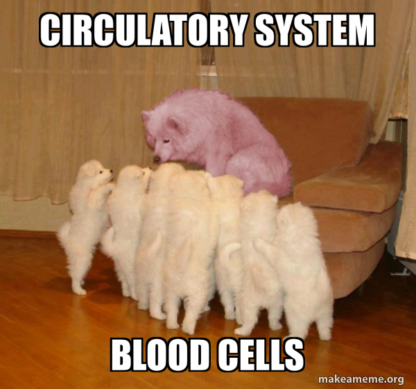 Circulatory System Blood cells - Malicious Storytelling Dog Meme Generator