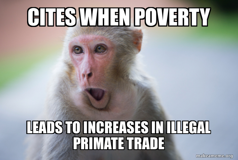 cites when poverty leads to increases in illegal primate trade Meme ...