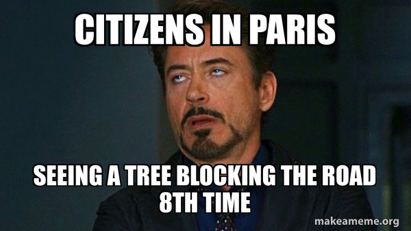 citizens in Paris seeing a tree blocking the road 8th time - Tony Stark ...