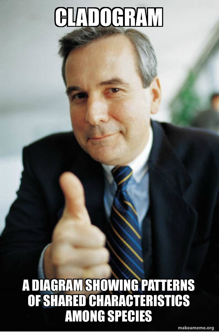 cladogram a diagram showing patterns of shared characteristics among ...