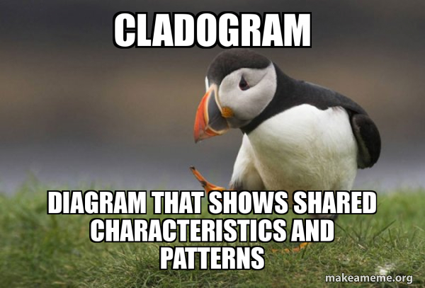 cladogram diagram that shows shared characteristics and patterns ...