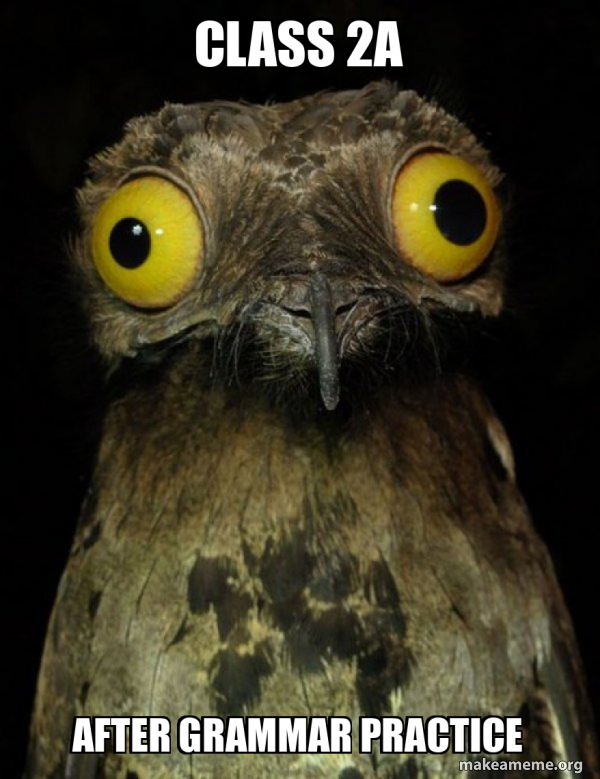 Class 2A after grammar practice - Weird Stuff I do Potoo Meme Generator