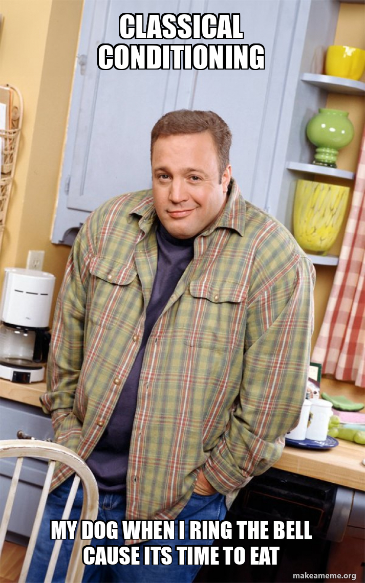 classical conditioning My dog when i ring the bell cause its time to ...