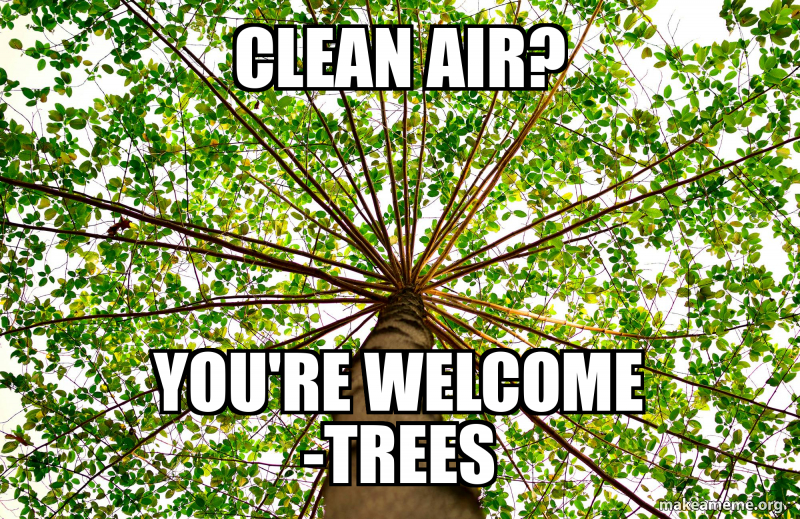 Clean Air? You're Welcome -Trees Meme Generator