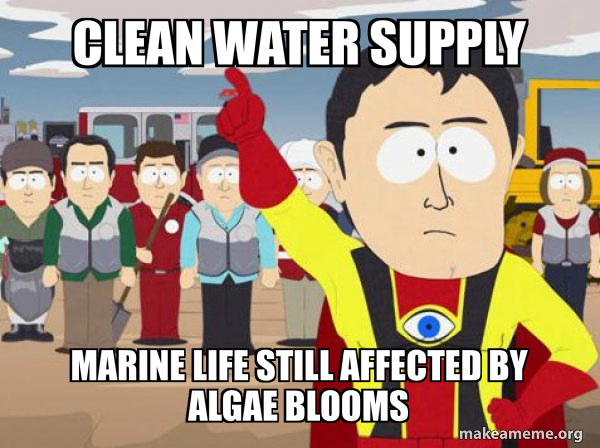 Clean water supply MArine life still affected by algae blooms - Captain ...