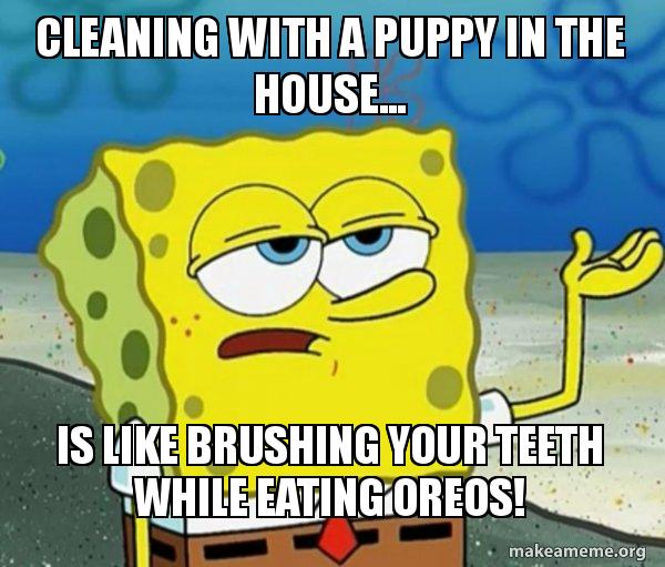 Cleaning with a puppy in the house... is like brushing your teeth while ...