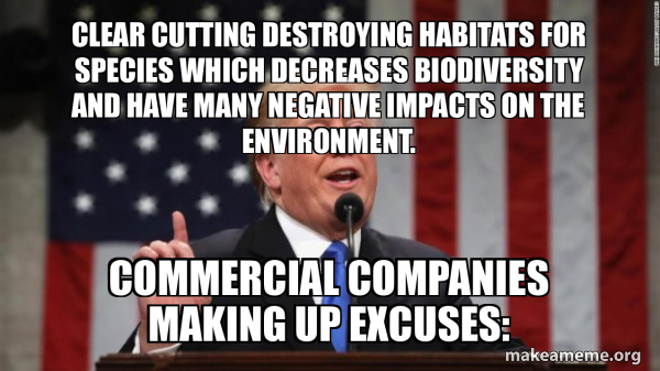 Clear Cutting destroying habitats for species which decreases ...