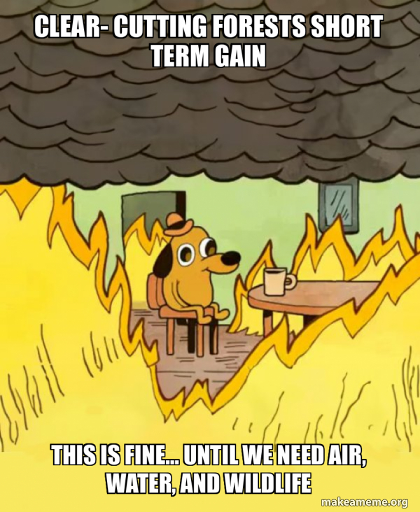 Clear- cutting forests short term gain This is fine… until we need air ...
