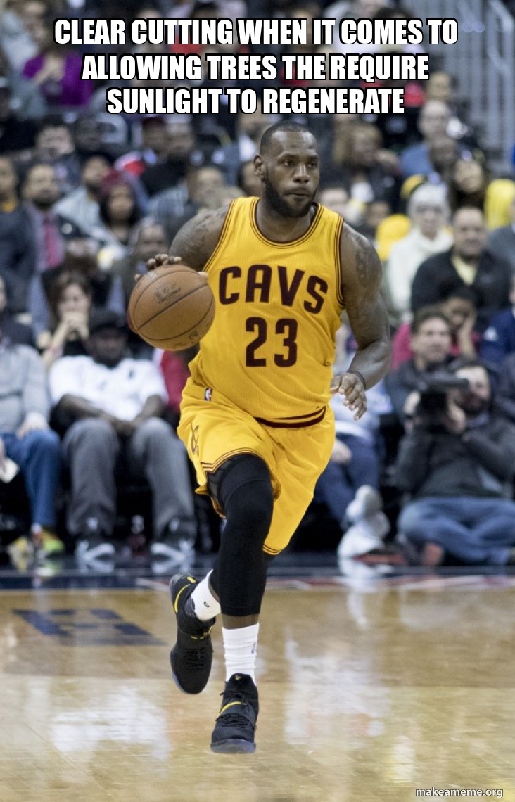 Clear cutting when it comes to allowing trees the require sunlight to ...