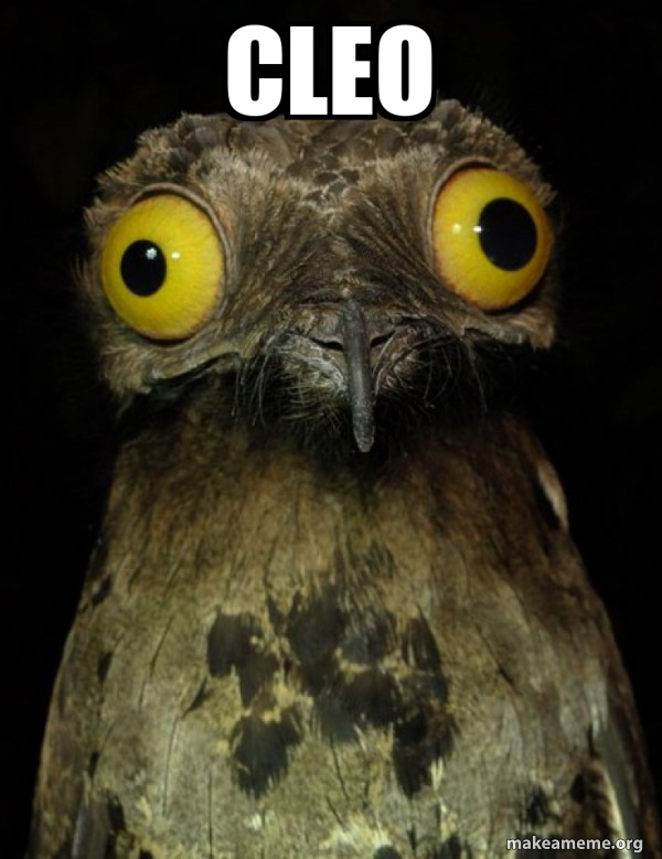 cleo - Weird Stuff I do Potoo Meme Generator