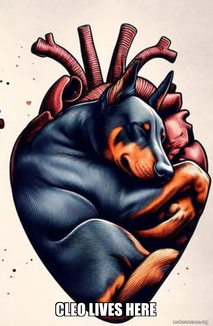 cleo lives here Meme Generator