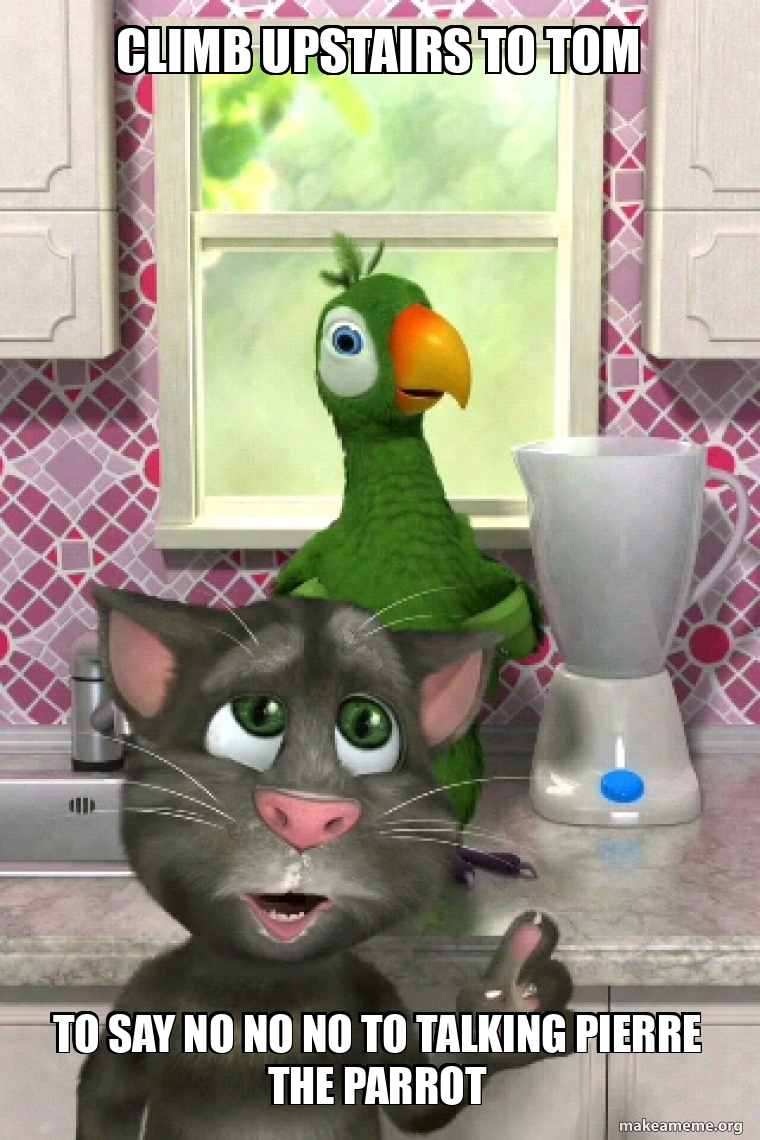 Climb upstairs to Tom To say No no no to Talking Pierre the Parrot ...