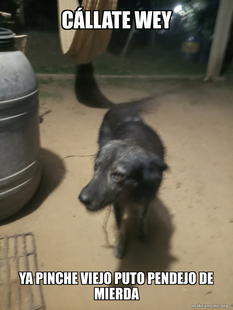 Cállate wey Ya pinche viejo puto pendejo de mierda Meme Generator