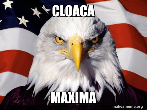 cloaca maxima - American Pride Eagle Meme Generator