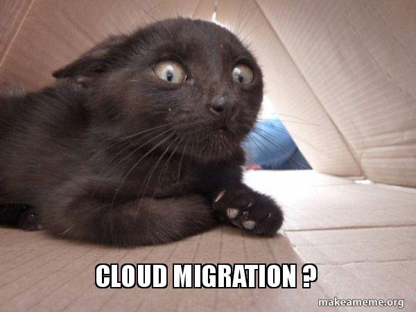 Cloud Migration ? - Schitzo Cat Meme Generator