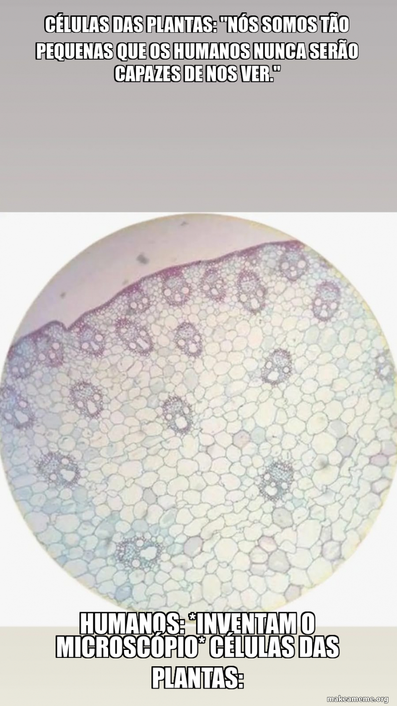 Células das plantas: "nós somos tão pequenas que os humanos nunca serão capazes de nos ver ...