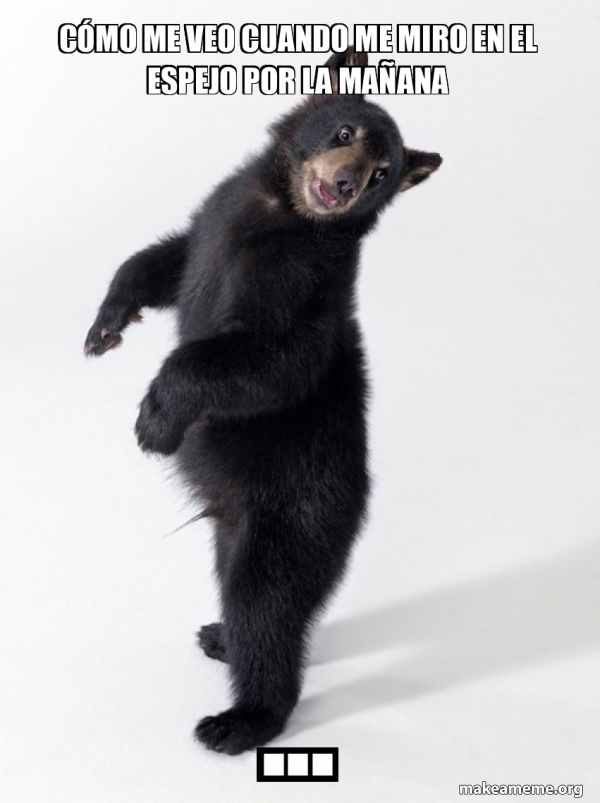 cómo me veo cuando me miro en el espejo por la mañana ... - Super Bear ...