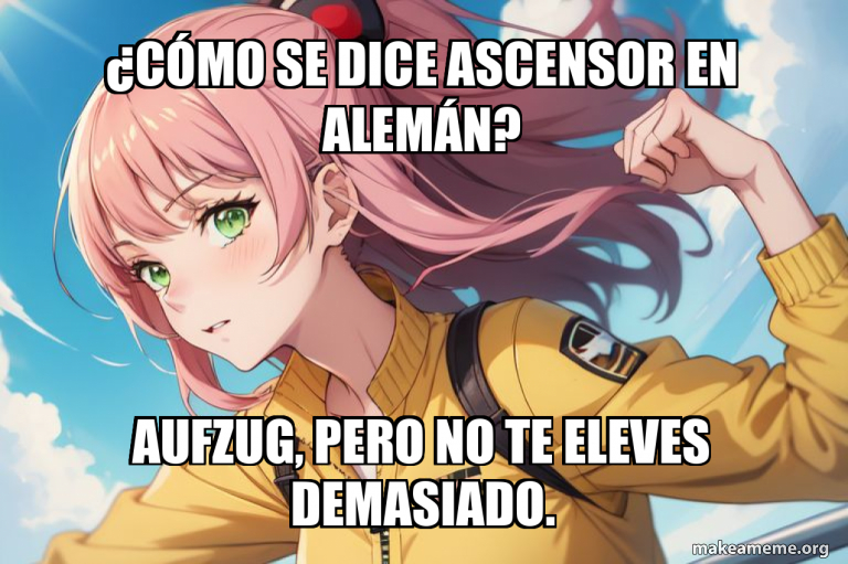 ¿cómo se dice ascensor en alemán? Aufzug, pero no te eleves demasiado ...