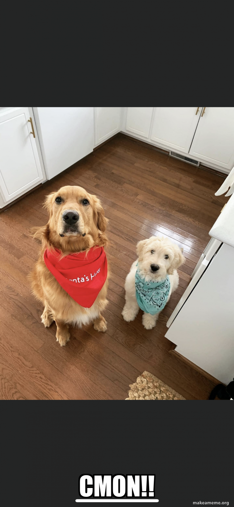 Cmon!! Meme Generator