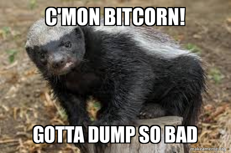 c'mon bitcorn! gotta dump so bad Meme Generator
