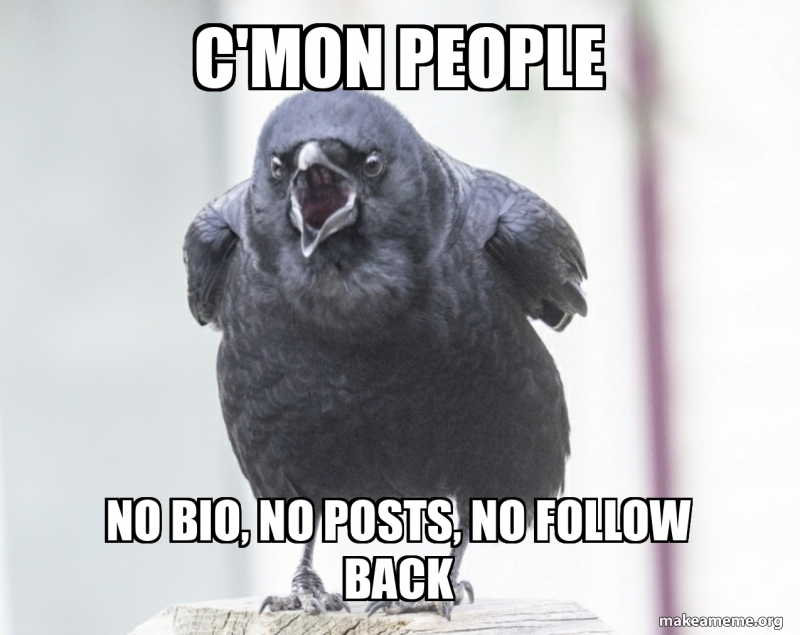 c'mon people no bio, no posts, no follow back Meme Generator