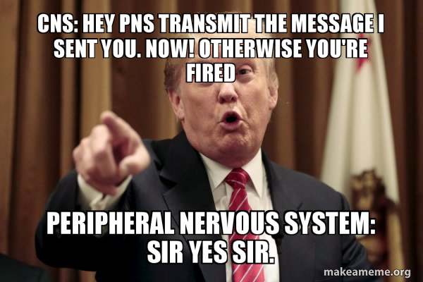 CNS: Hey PNS Transmit the message i sent you. Now! Otherwise you're ...
