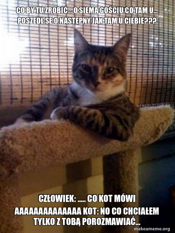 Co by tu zrobić... O siema gościu co tam u... poszedł se o następny jak ...