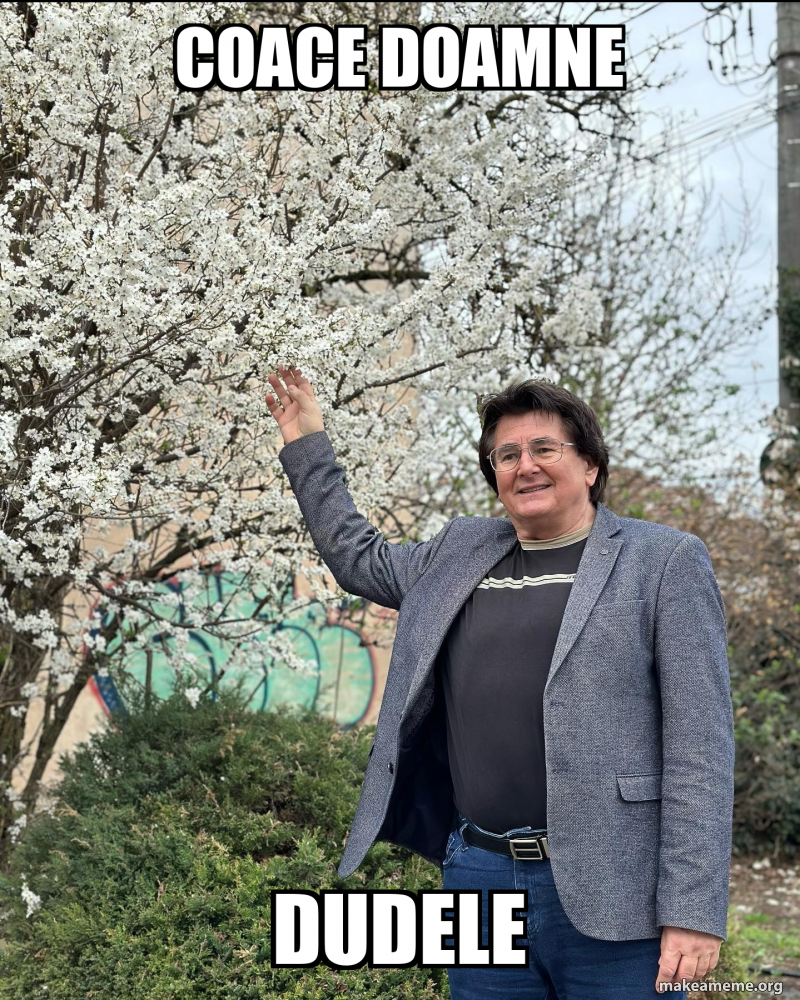 Coace doamne Dudele Meme Generator