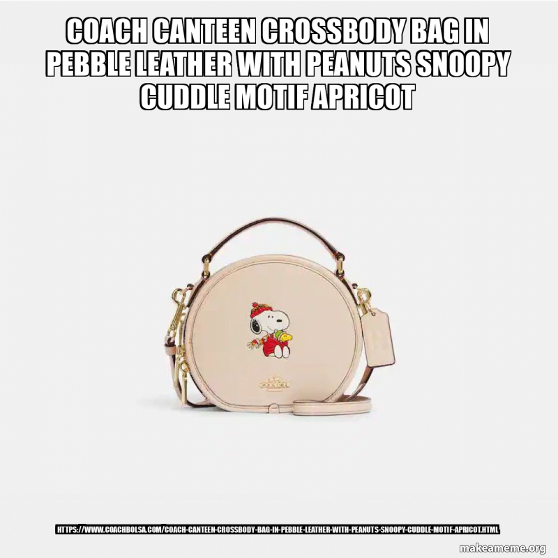 Coach Canteen Crossbody Bag in Pebble Leather with Peanuts Snoopy ...