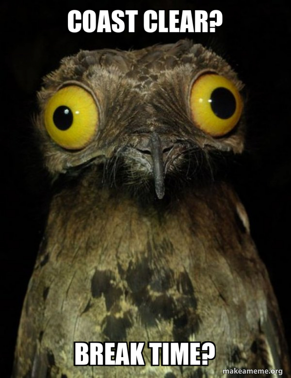 Coast Clear? Break time? - Weird Stuff I do Potoo Meme Generator