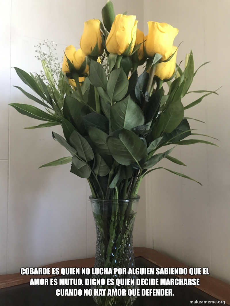 Cobarde es quien no lucha por alguien sabiendo que el amor es mutuo ...