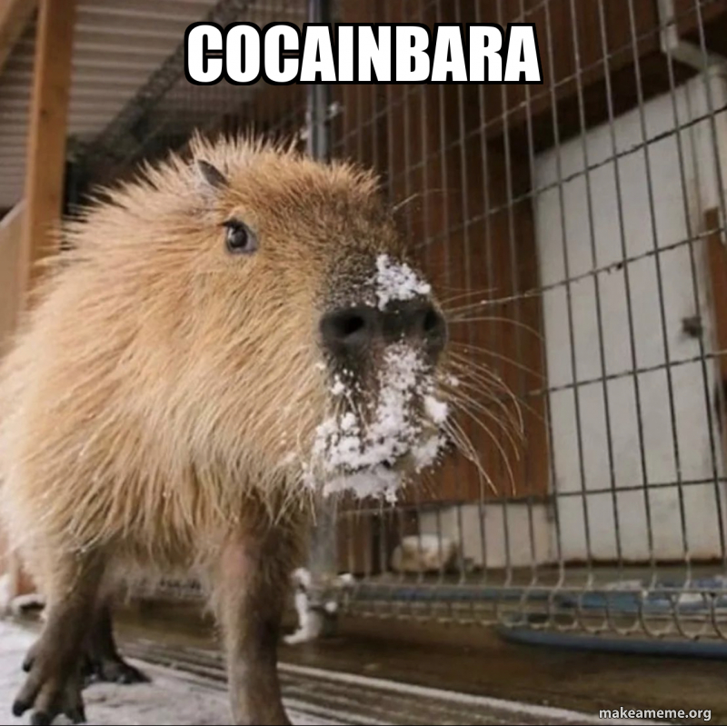 Cocainbara Meme Generator