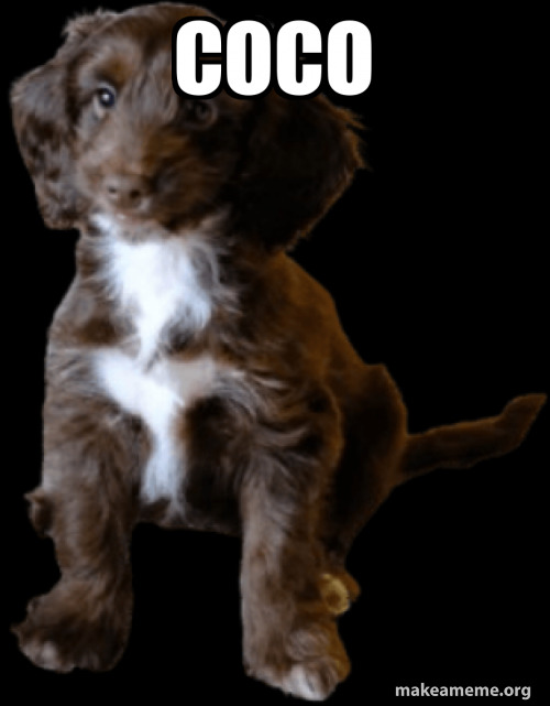 COCO Meme Generator