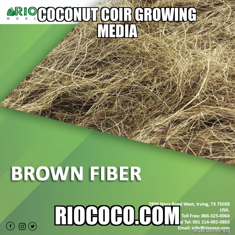 Coconut Coir Growing Media riococo.com - Coconut Coir Growing Media ...